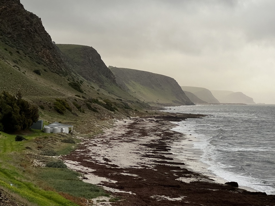 Cape Jervis to Adelaide | WalkingWombat | Blipfoto