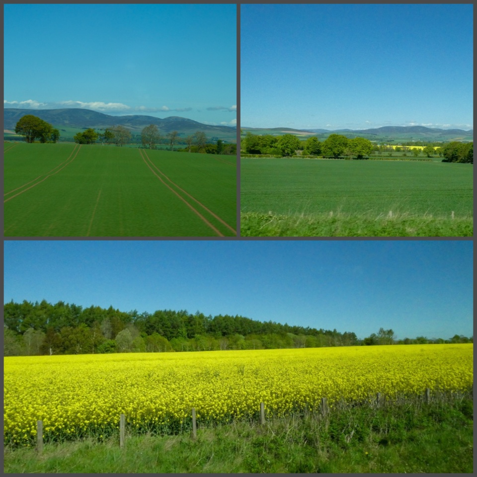 The Vale of Strathmore | CherryR | Blipfoto