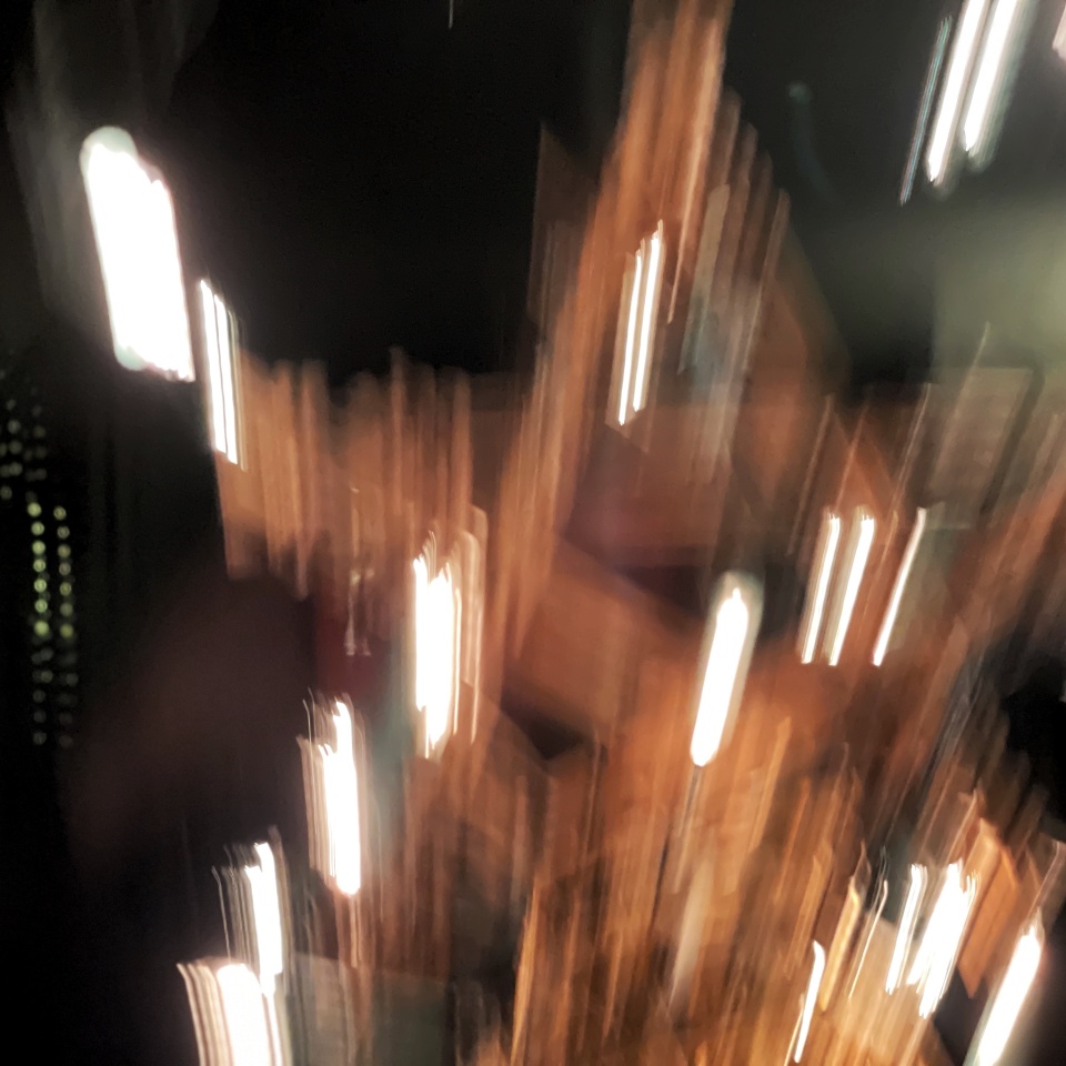 Tree’s Up | Picturemull | Blipfoto