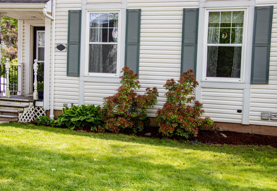 A busy day | KathyH58 | Blipfoto