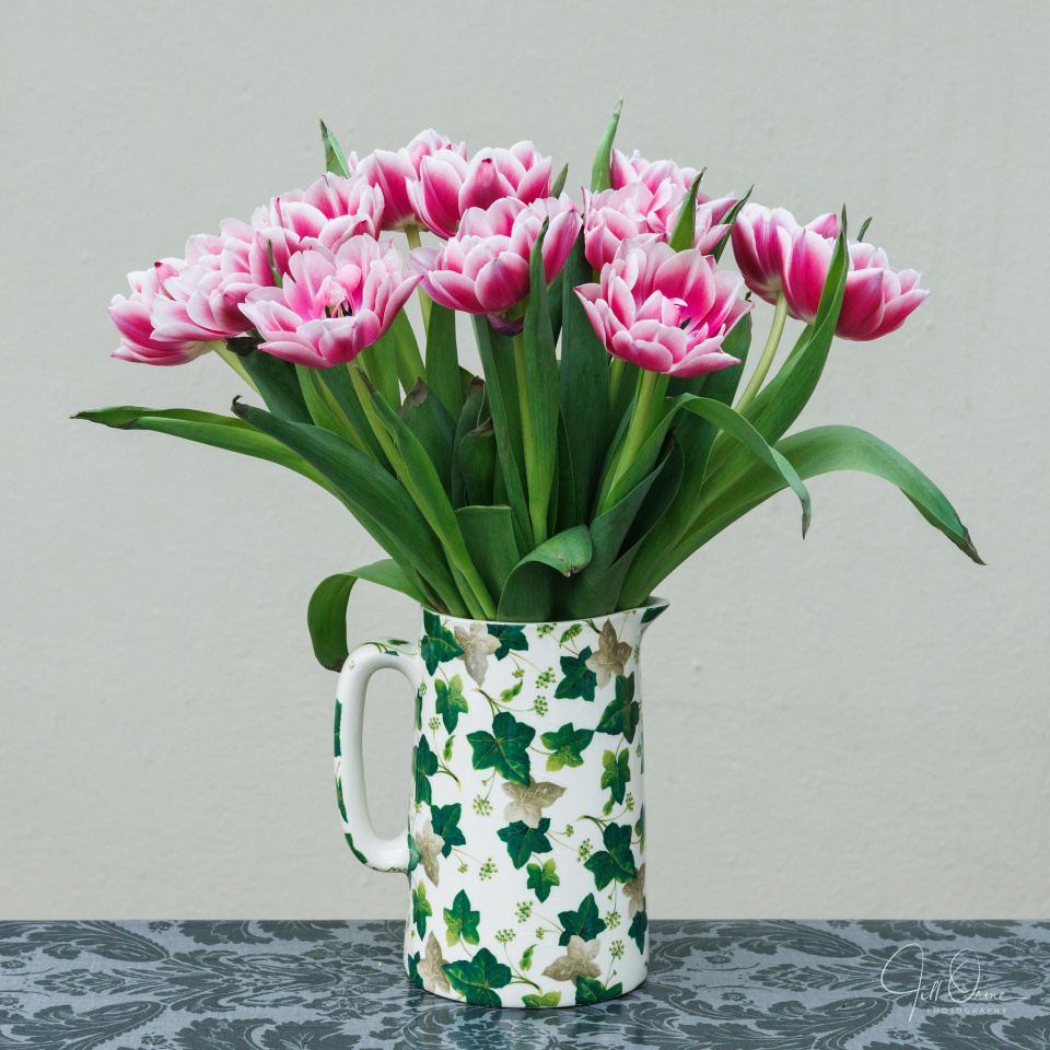 Tired | JDO | Blipfoto