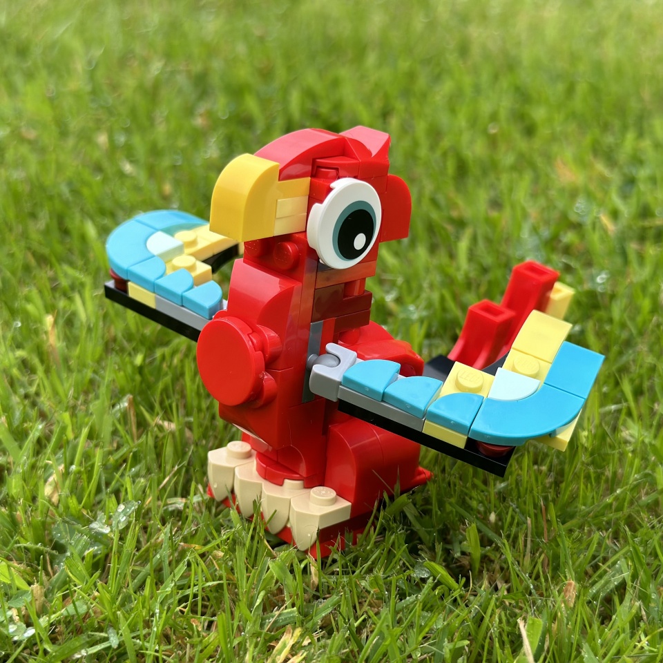 The parrot has landed | Technophobe | Blipfoto