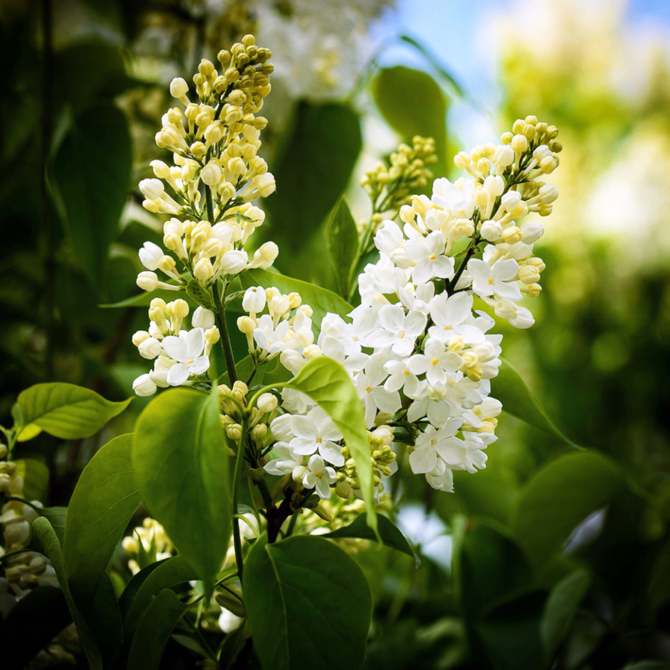 Saturday 3 June 2023 | Kirre | Blipfoto
