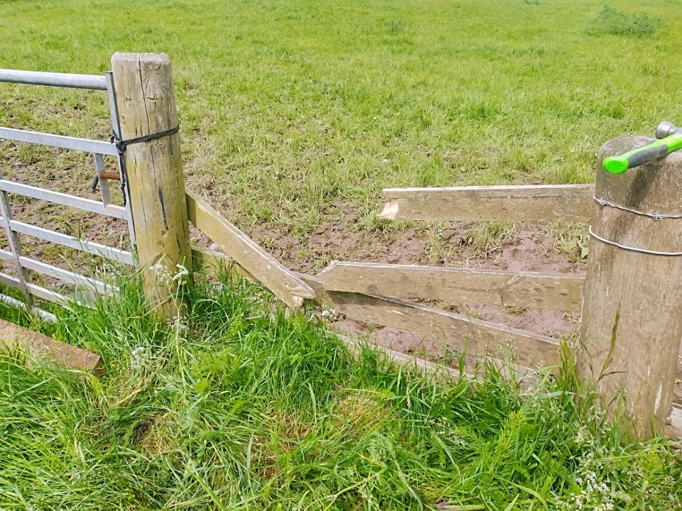 Smashing,super, gate.... | Farmerboab | Blipfoto