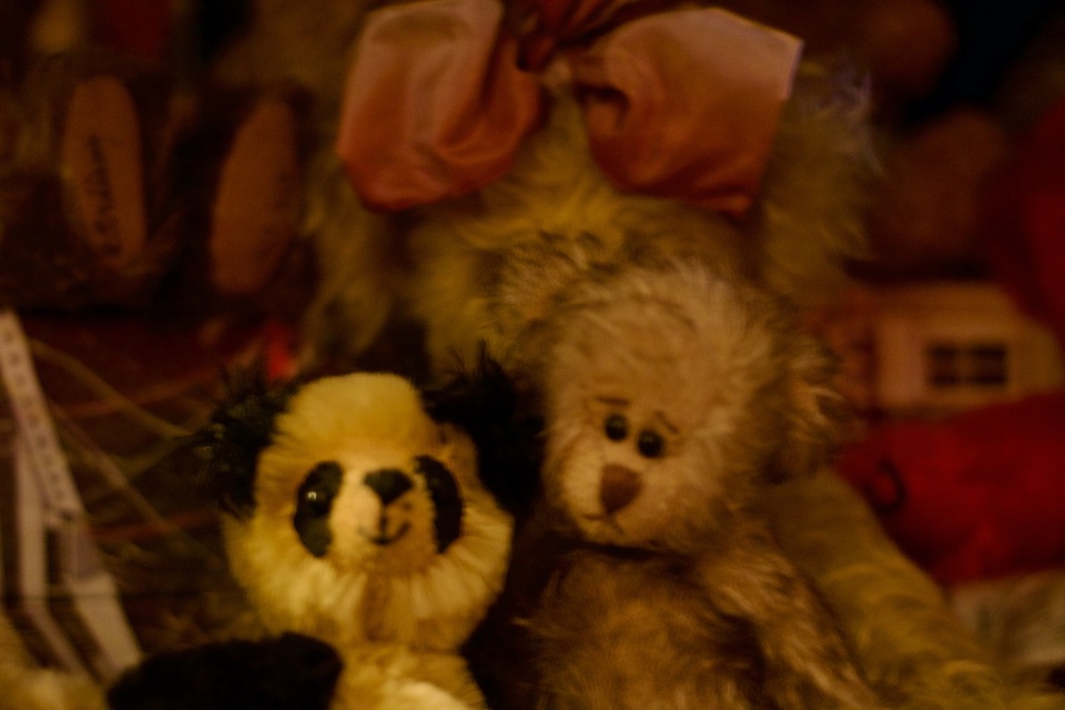 Got wet | Jaybay | Blipfoto