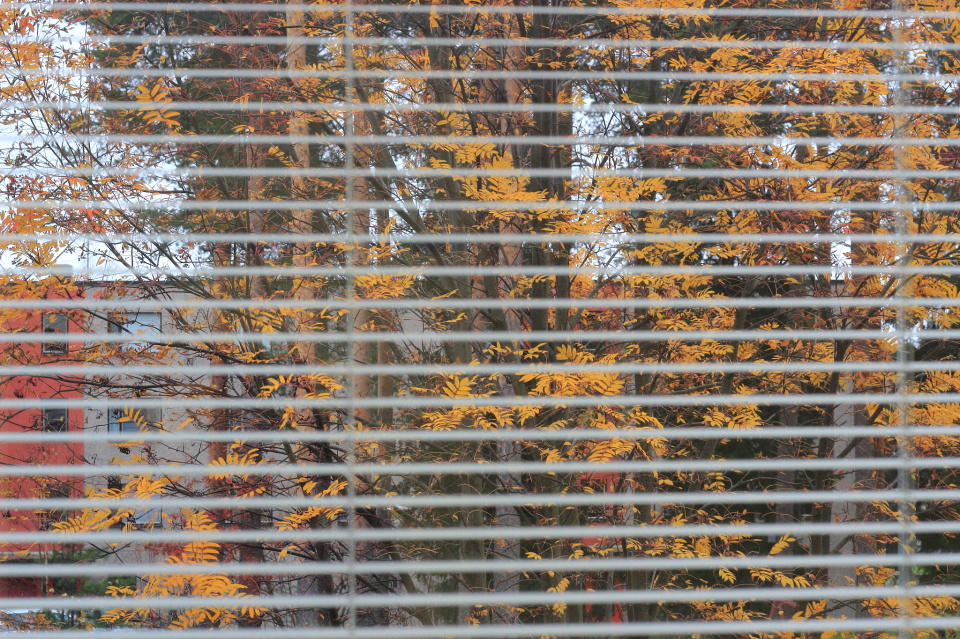 Gray and windy day | Terhini | Blipfoto