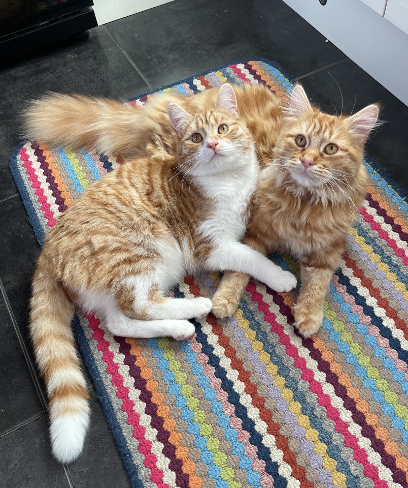 Brotherly love | RonaMac | Blipfoto