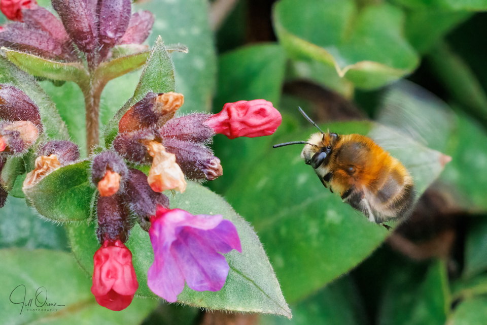 Neat | JDO | Blipfoto