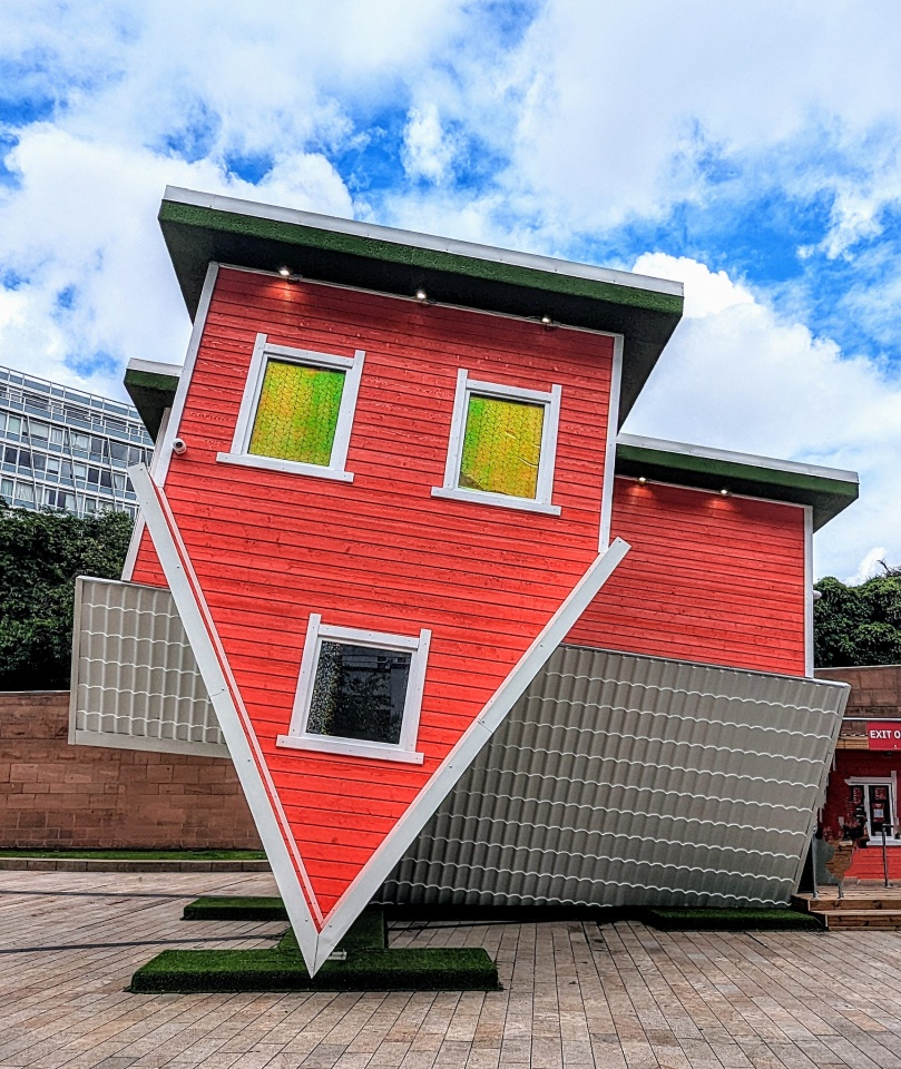 Upside Down | shirls | Blipfoto