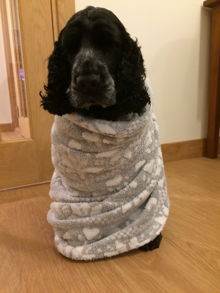 Wrapped up. | MaggieD | Blipfoto