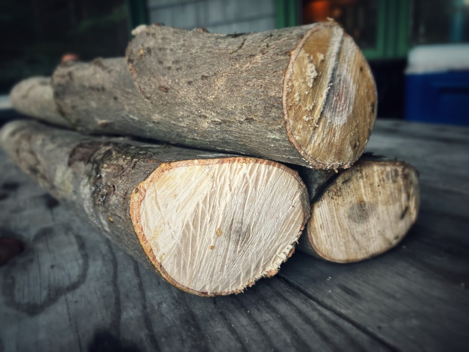 Yule Log | madowoi | Blipfoto