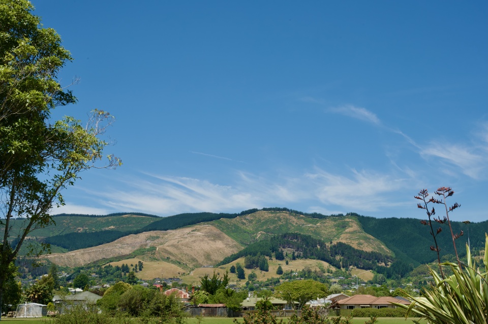 Out walking Kasper and I... | AndrewNZ | Blipfoto