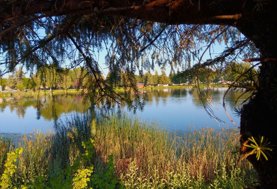 Ducks today | TiciaS | Blipfoto