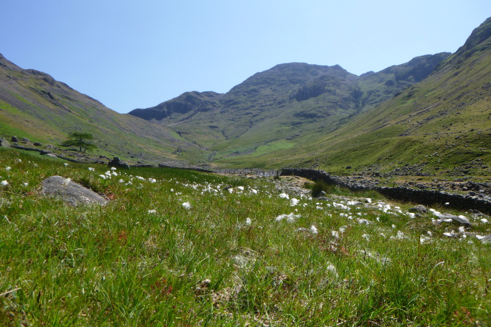Above Wasdale Head | rat | Blipfoto