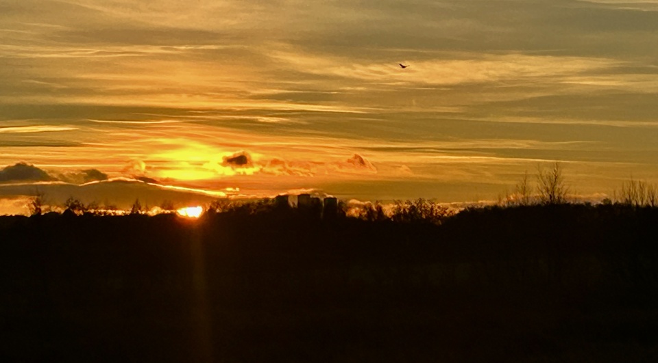 EVENING ON LENZIE MOSS. | Larchlea | Blipfoto