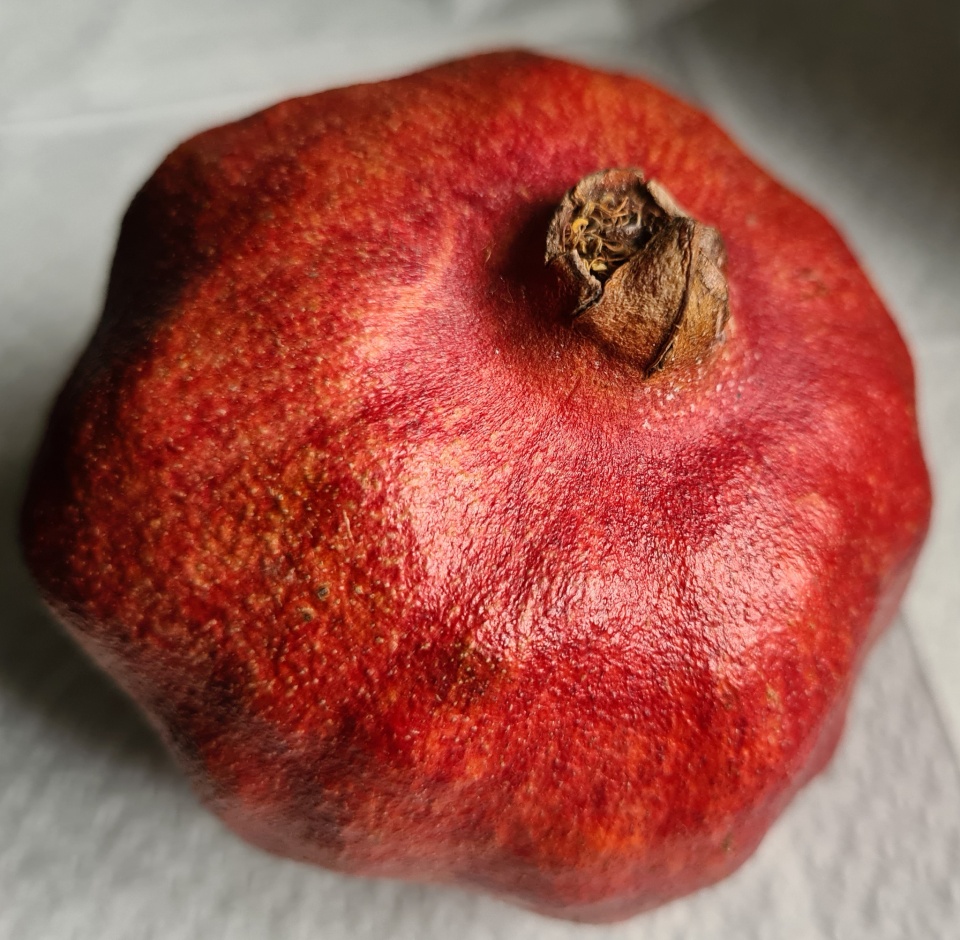 POMEGRANATE | EllyJay | Blipfoto