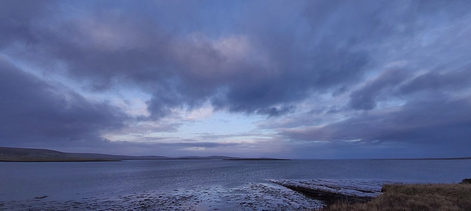 Bay of Firth (Day 2065) | PorridgeWog | Blipfoto