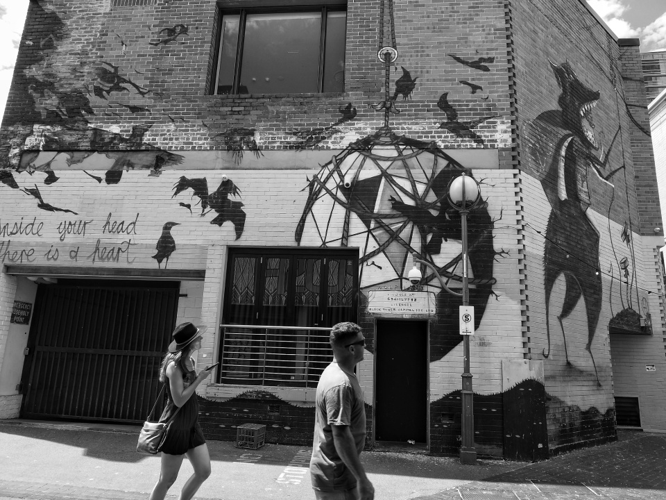 Wolf Lane | DonnaWanna | Blipfoto