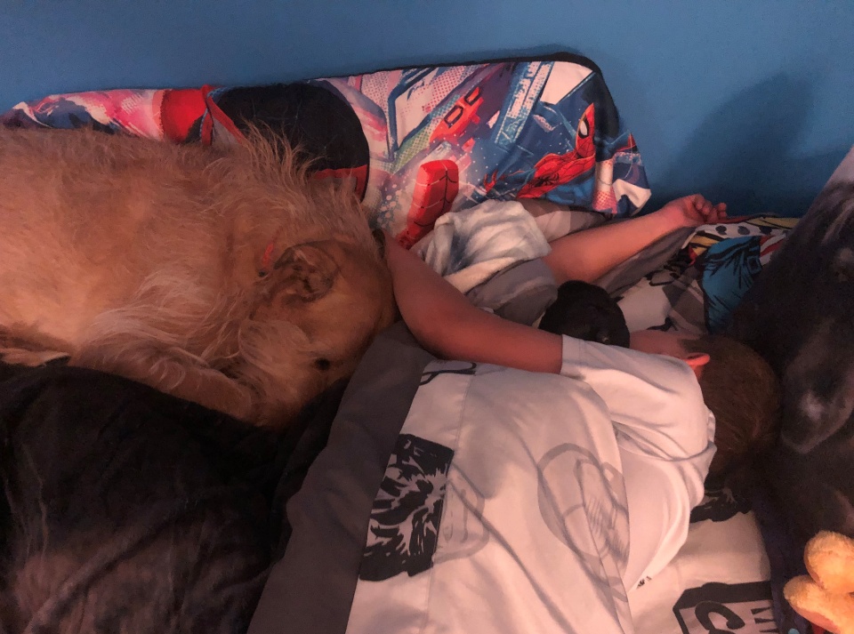 Sleepy Sneak | TurtleBug | Blipfoto