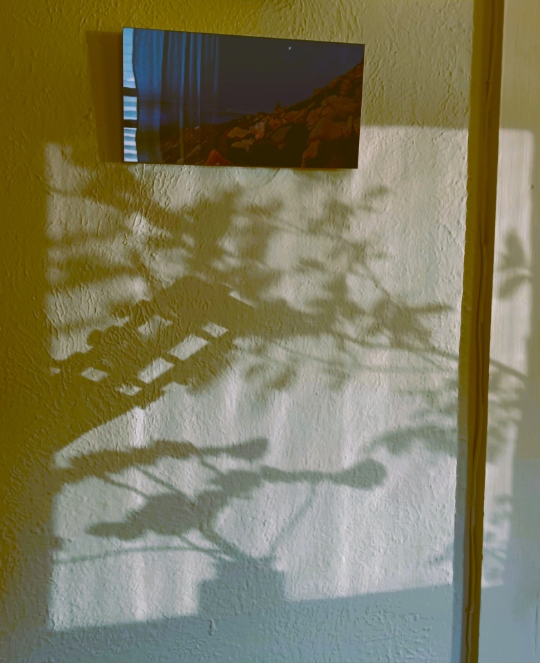 Wall shadows. | TiciaS | Blipfoto