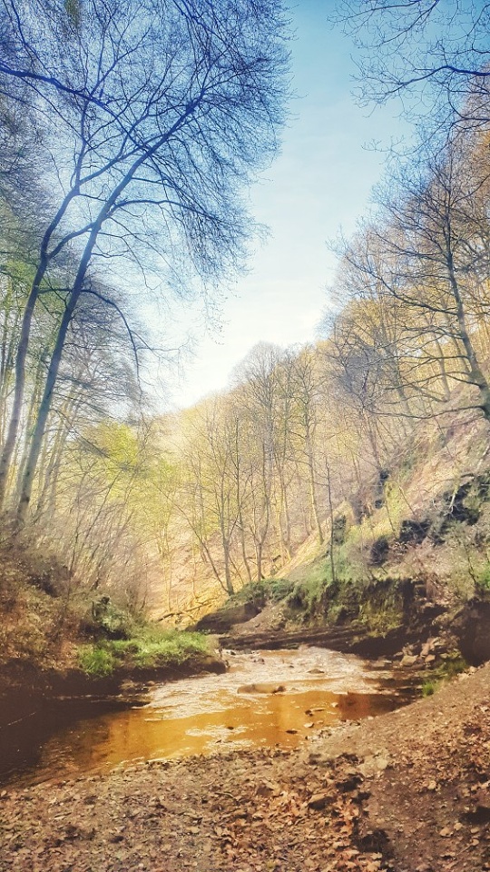 Ashworth Valley | dbrereton | Blipfoto