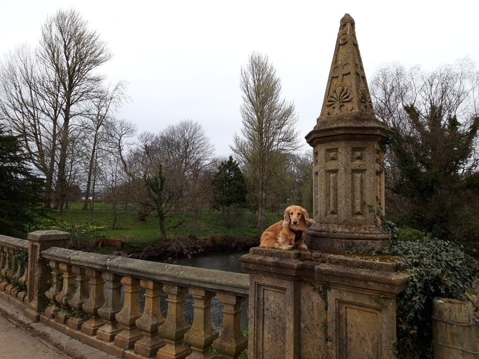 Garscube Walk | Lulabel177 | Blipfoto