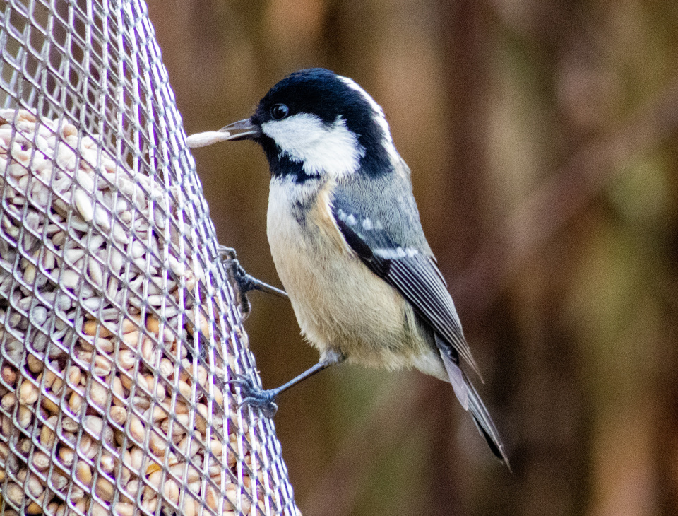 Queue Jumper | StillLearning | Blipfoto