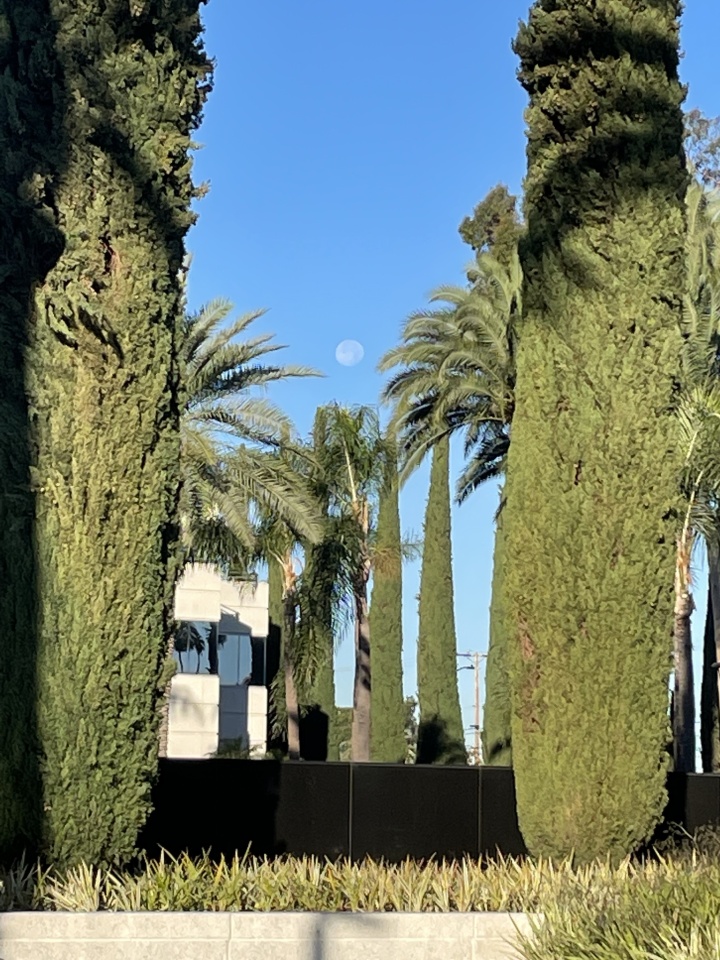 Good morning moon! | Anaisabel | Blipfoto