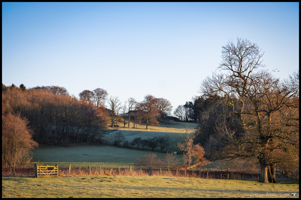 Beaufront Hill Head ... | RobinDown | Blipfoto
