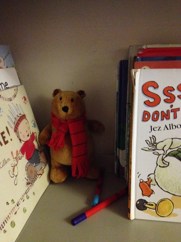 Library Bear | MisterPrime | Blipfoto