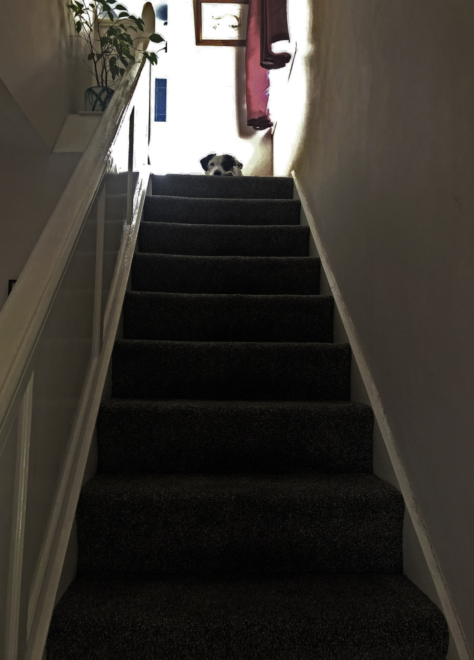 Housework Avoidance.... | normie | Blipfoto