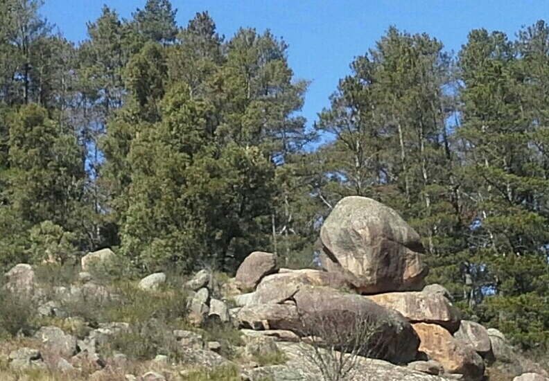 Perfectly Natural | Gritty | Blipfoto