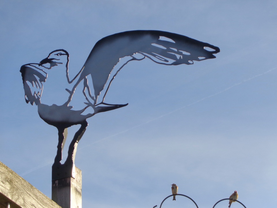 Flatbird and friends | TimM | Blipfoto