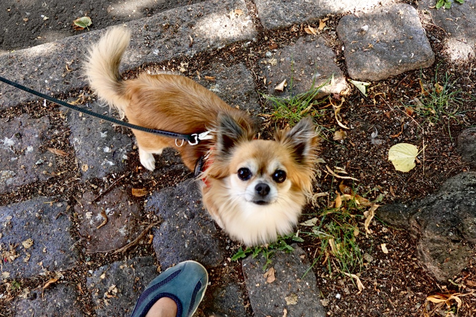 Brave girl | heanku | Blipfoto