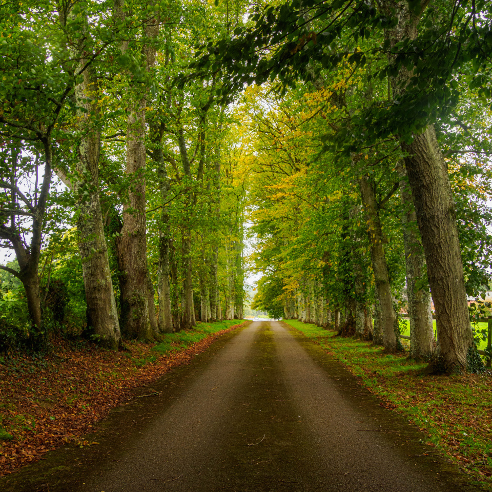 Lindridge Avenue | RockArea | Blipfoto
