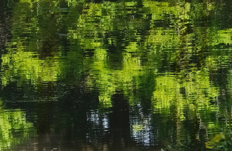 reflections | LesleyAlsford | Blipfoto