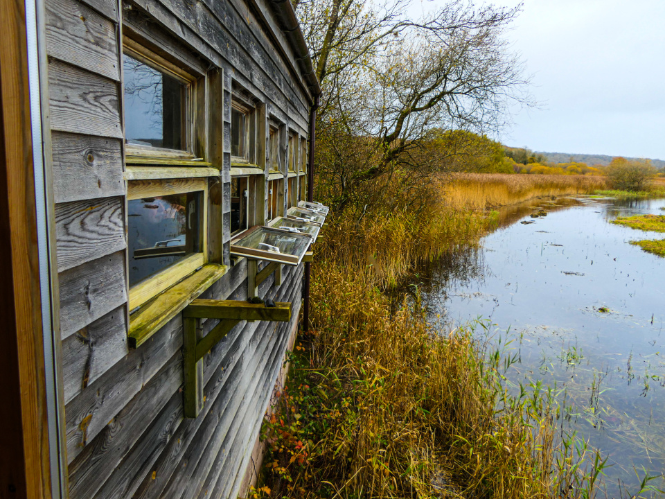 Bird Hides. Our local... | Knottman2 | Blipfoto