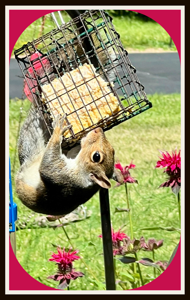 Whatcha Looking At? | Grammy | Blipfoto