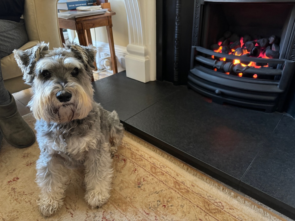 YES! The fire is on! | LadyMarchmont | Blipfoto