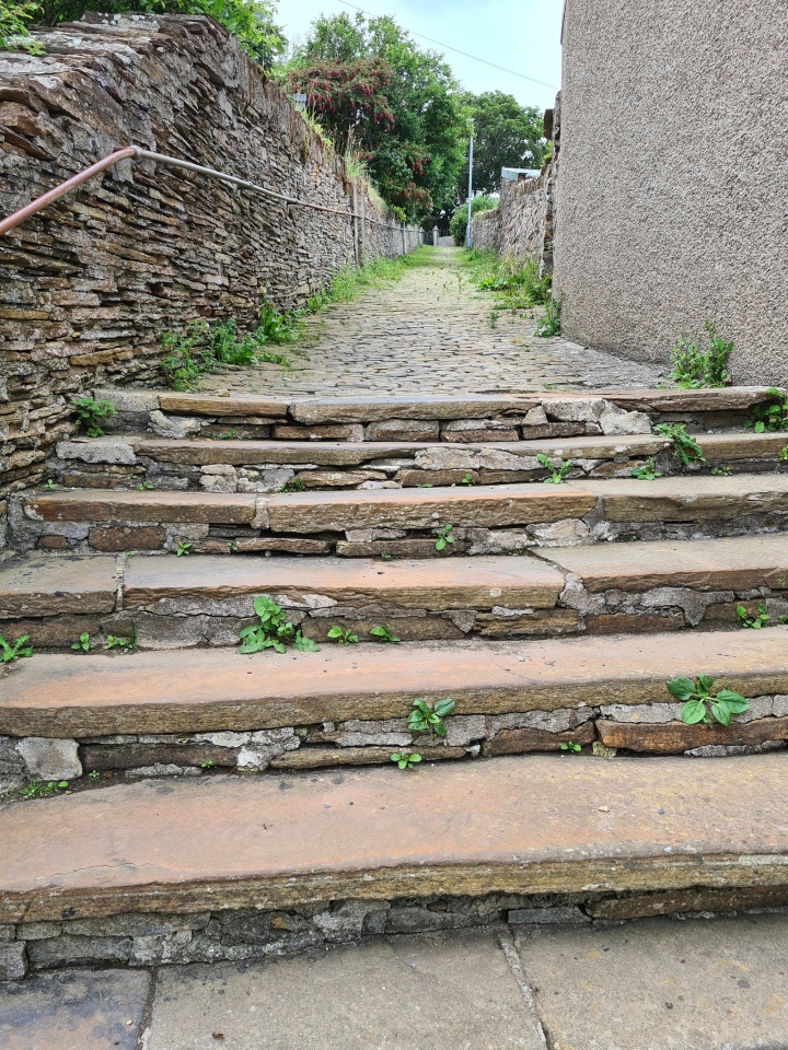 WEEDY | EllyJay | Blipfoto