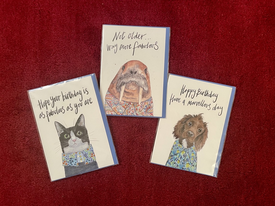 Nice cards! | jennym999 | Blipfoto