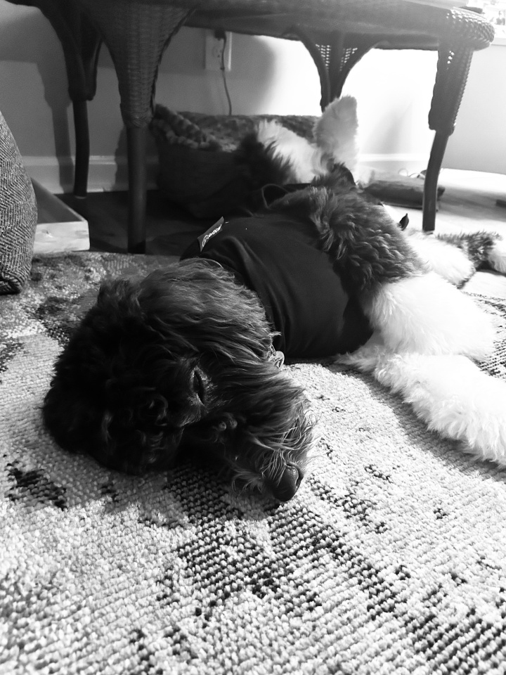 No Laughter Here | Doingok | Blipfoto