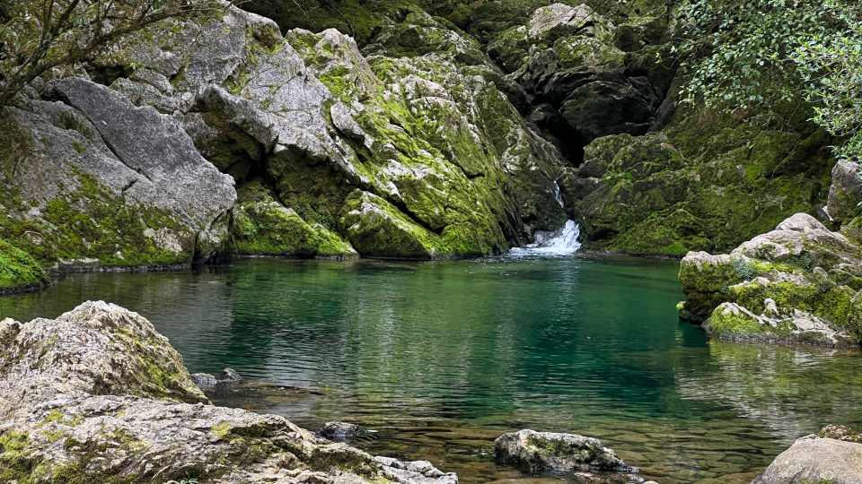 Crystal... | Miffy | Blipfoto