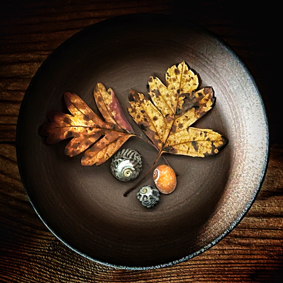 a trio of tiny shells | sk | Blipfoto