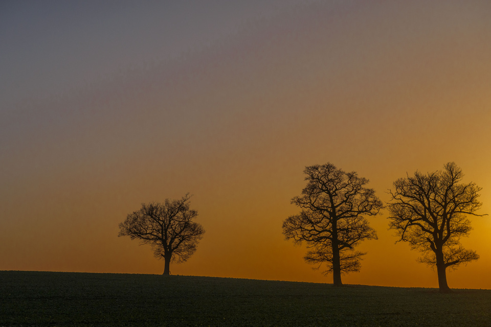 Sunset snap | nikonabike | Blipfoto