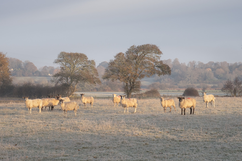 Ten Years! | AH14 | Blipfoto