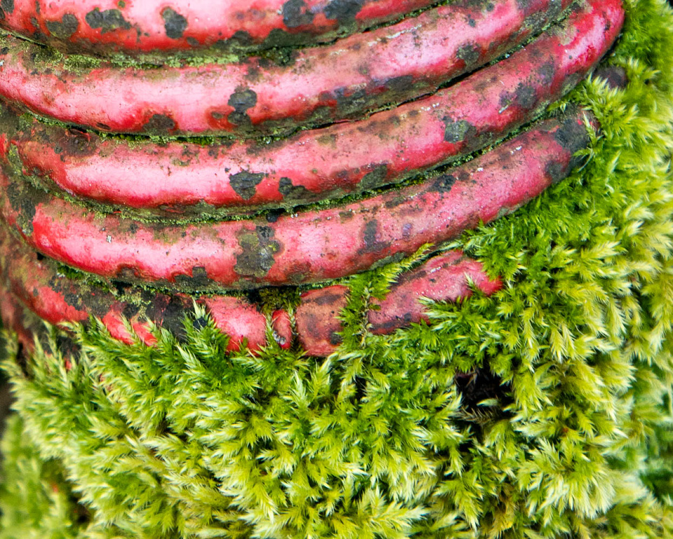 Spring | Technophobe | Blipfoto