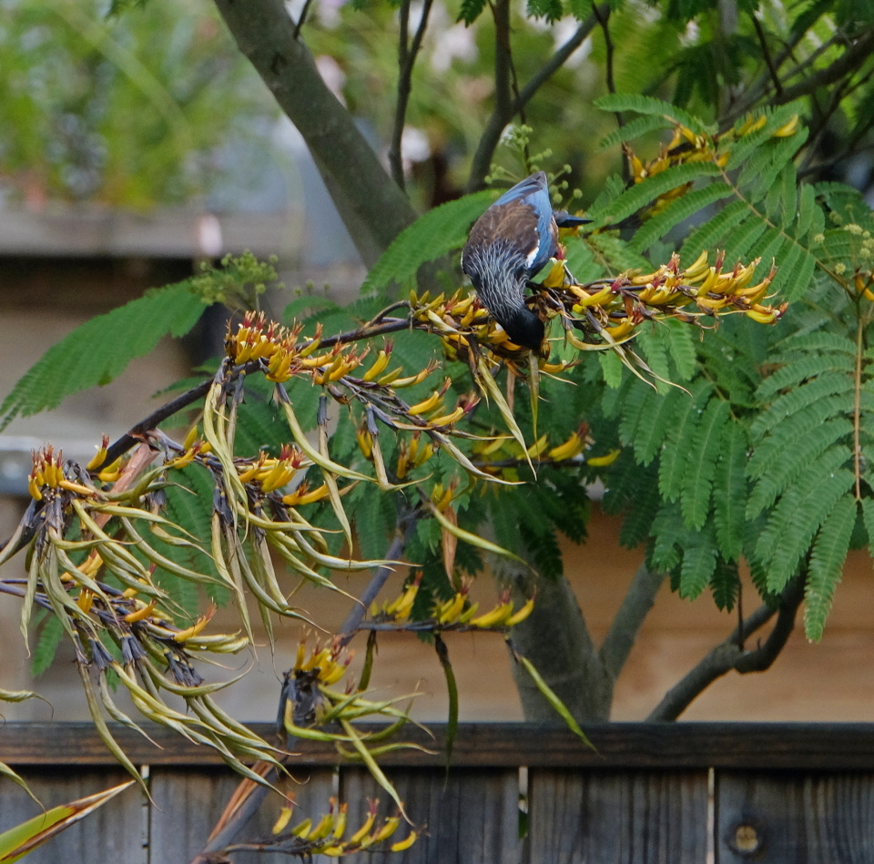 Rain . . . The Beatles | V1k1 | Blipfoto