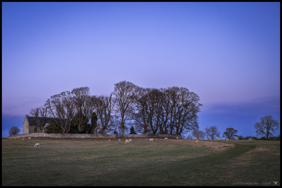 The last ... | RobinDown | Blipfoto