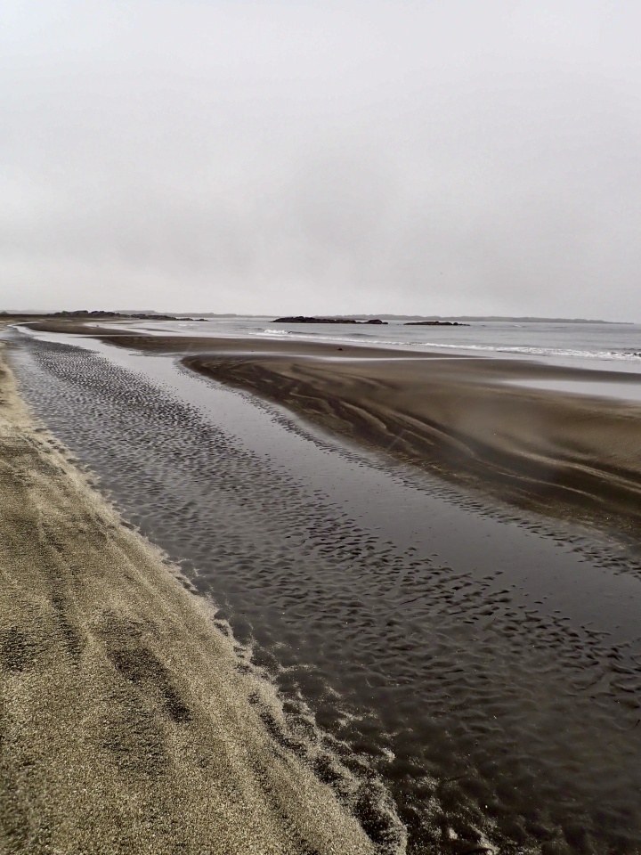 Fog, Rain, and Black Sand Beaches | DDW | Blipfoto
